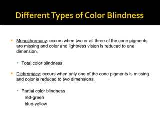 Color blindness | PPT