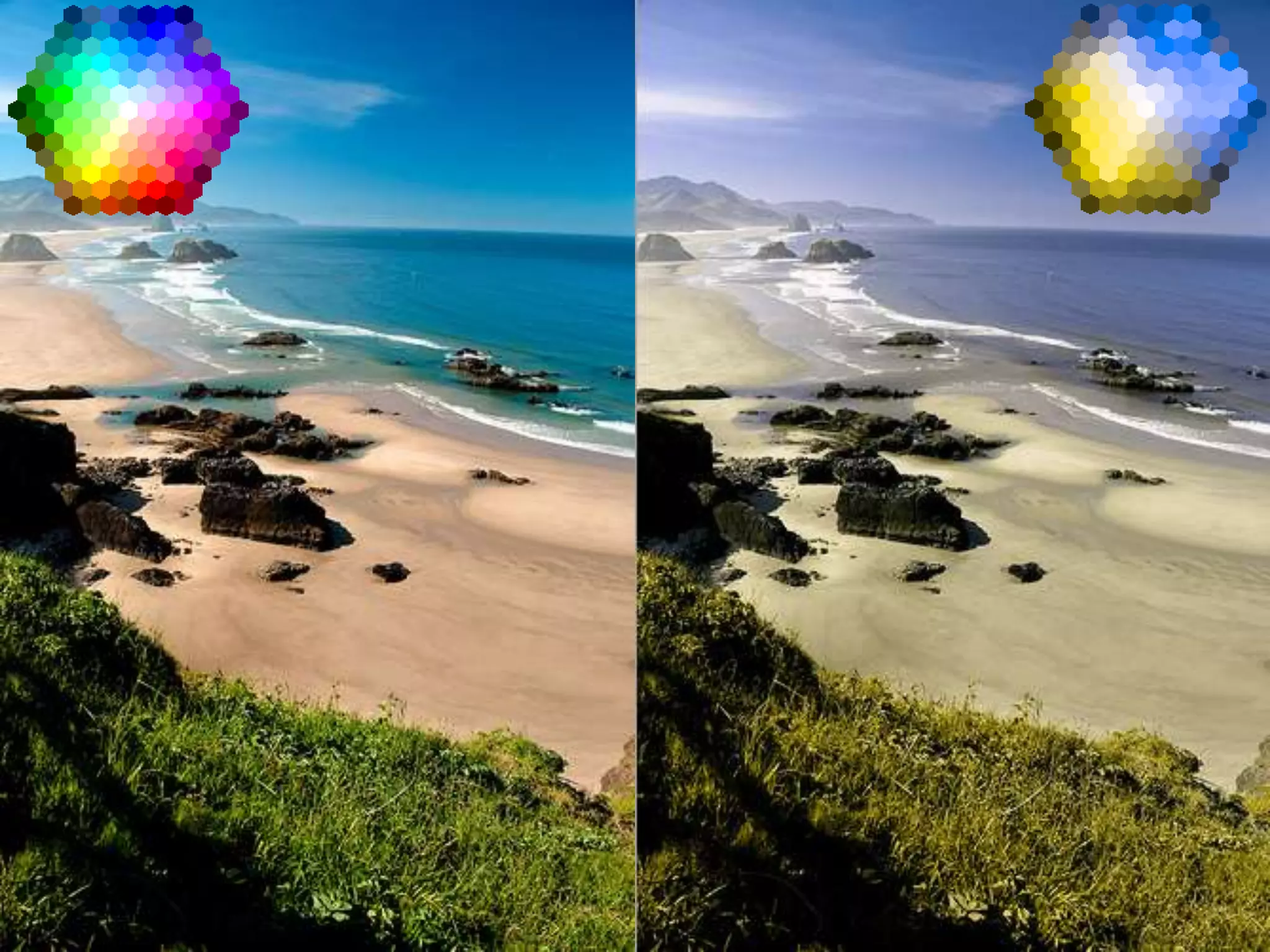 Color Blindness | PPT | Free Download