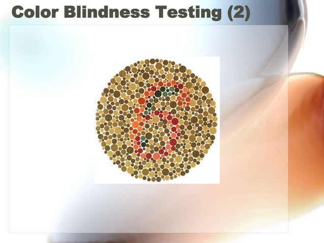 Color Blindness | PPT | Free Download