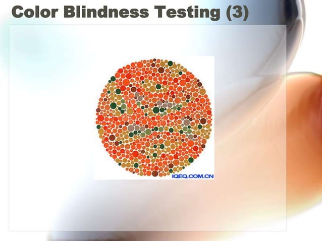 Color Blindness | PPT | Free Download
