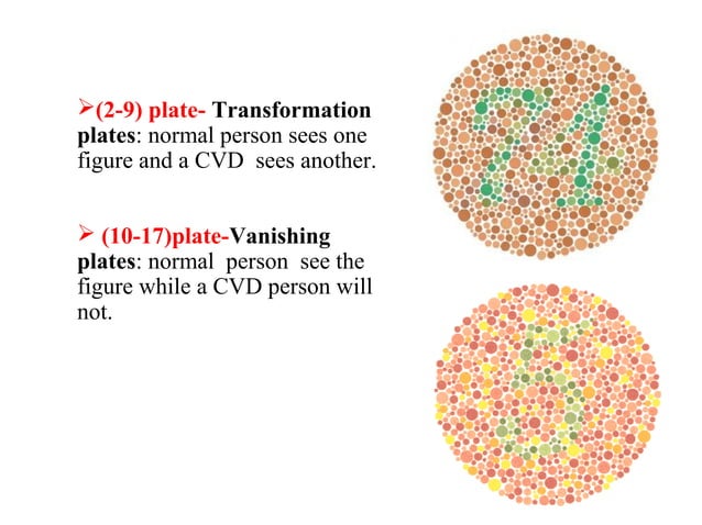Colorblindness | PPT | Eye and Vision Conditions | Diseases and Conditions