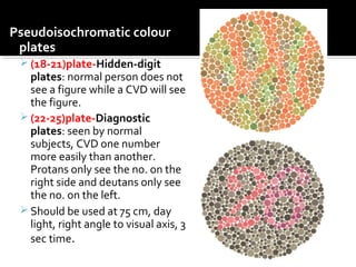 Colorblindness | PPT | Eye and Vision Conditions | Diseases and Conditions