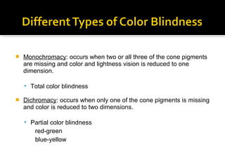 Colorblindness | PPT | Eye and Vision Conditions | Diseases and Conditions