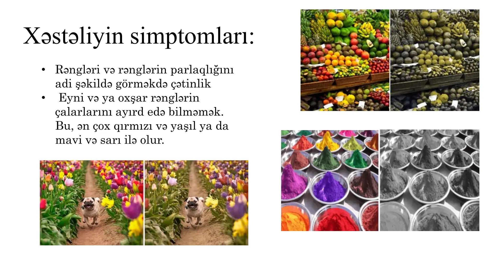 ColorBlindness.Daltonizm.pptx