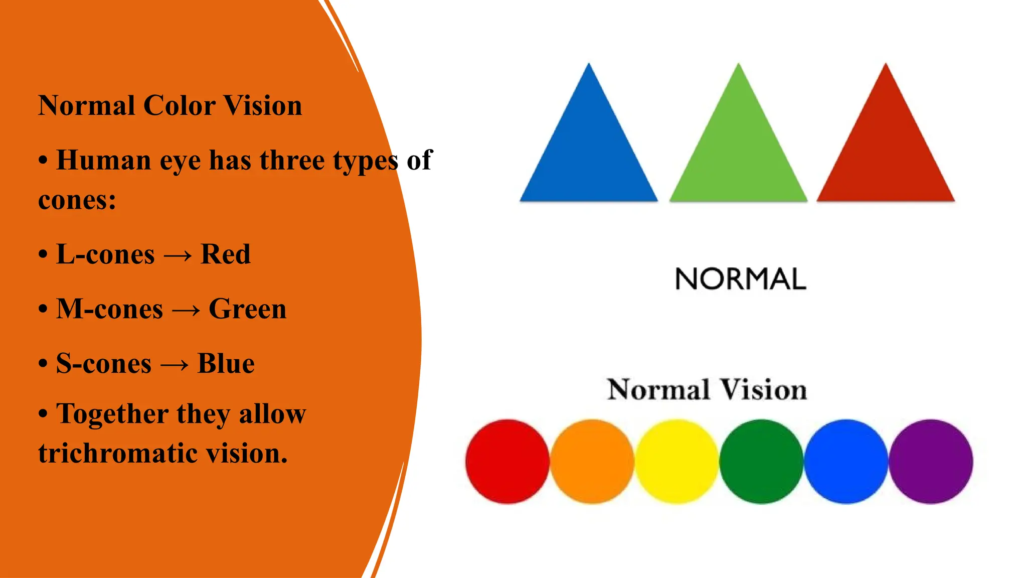 color blindness (color vision deficiency) | PPTX