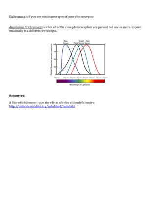 Color blindness activity | DOC