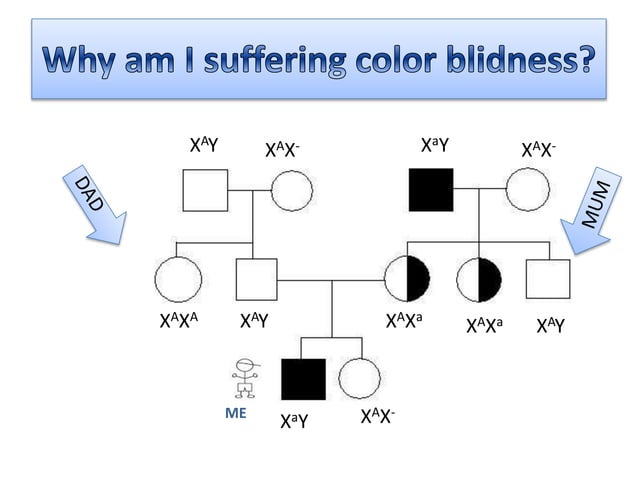 Color blindness rmb | PPT