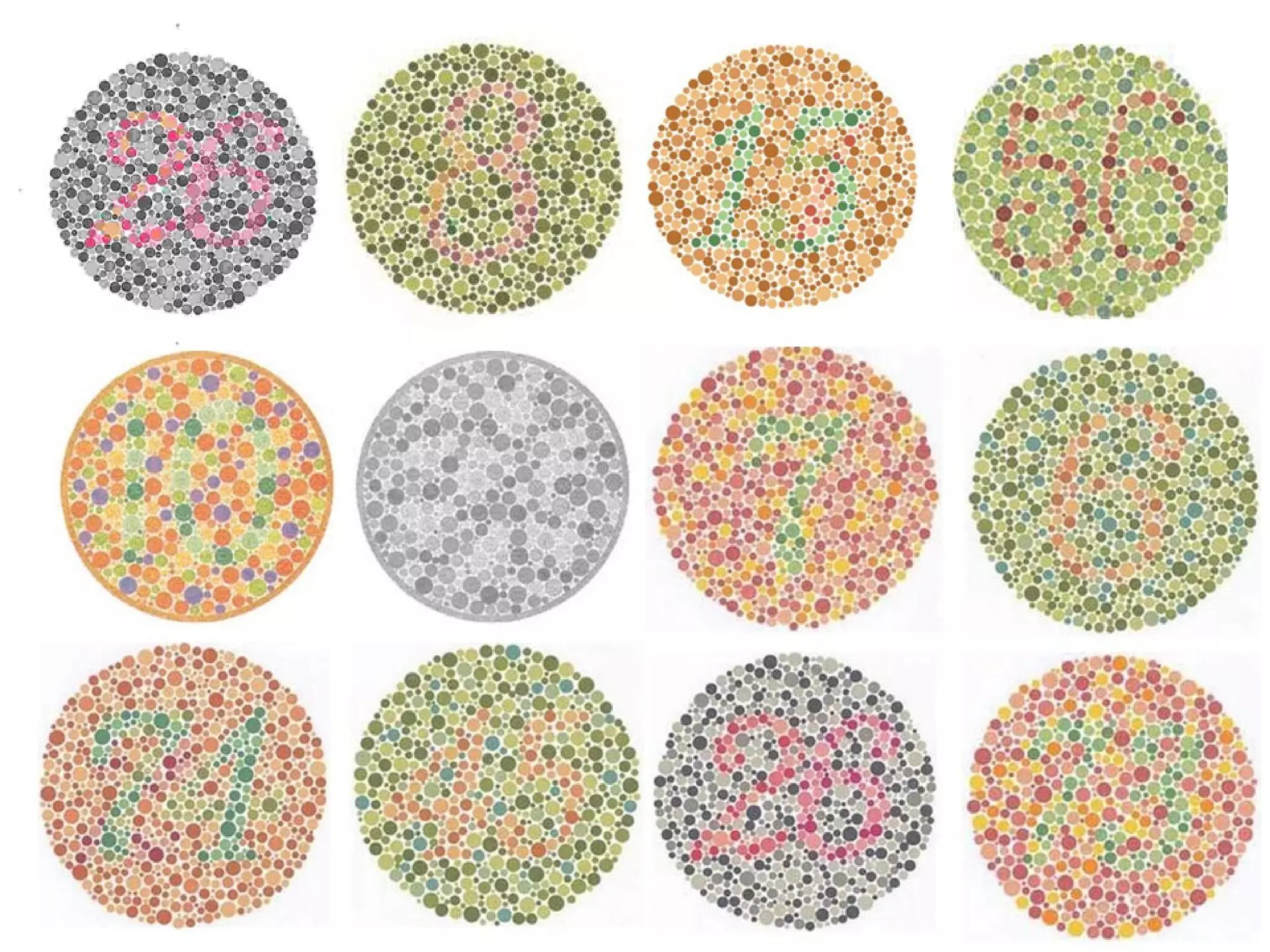 Color blind test | PPT