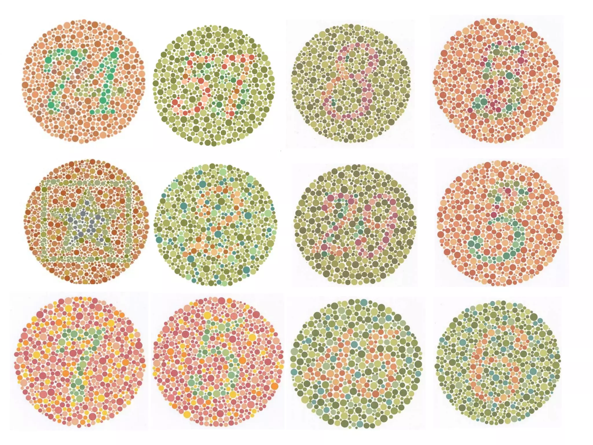 Color blind test | PPT