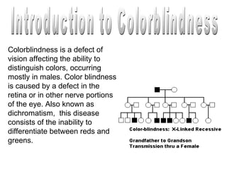 Colorblindtest | PPT