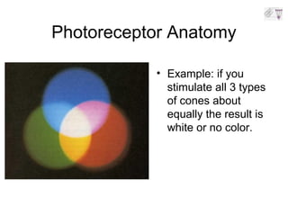 Colorblindtest | PPT