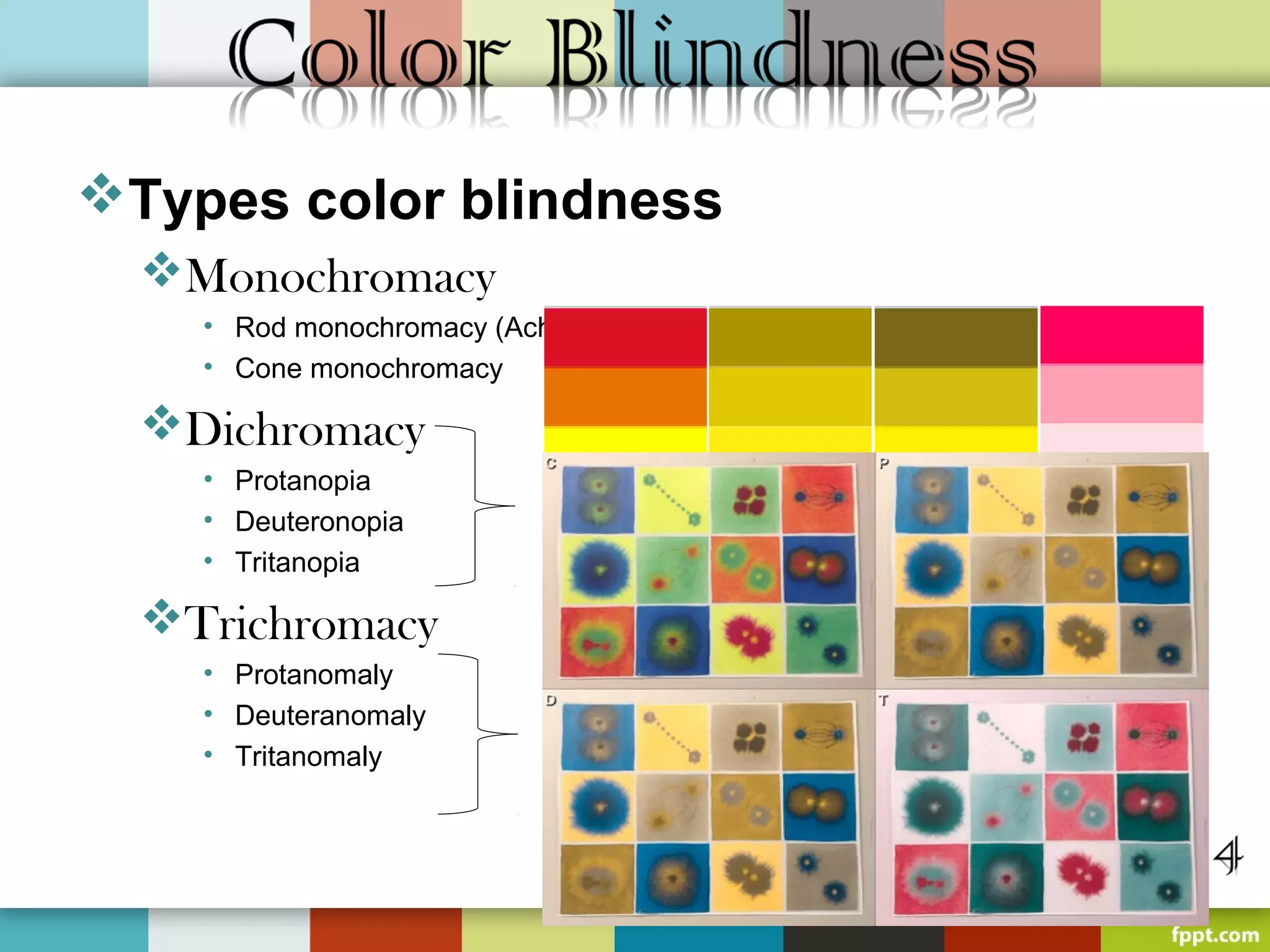 Color blind user | PPT | Web Development | Internet
