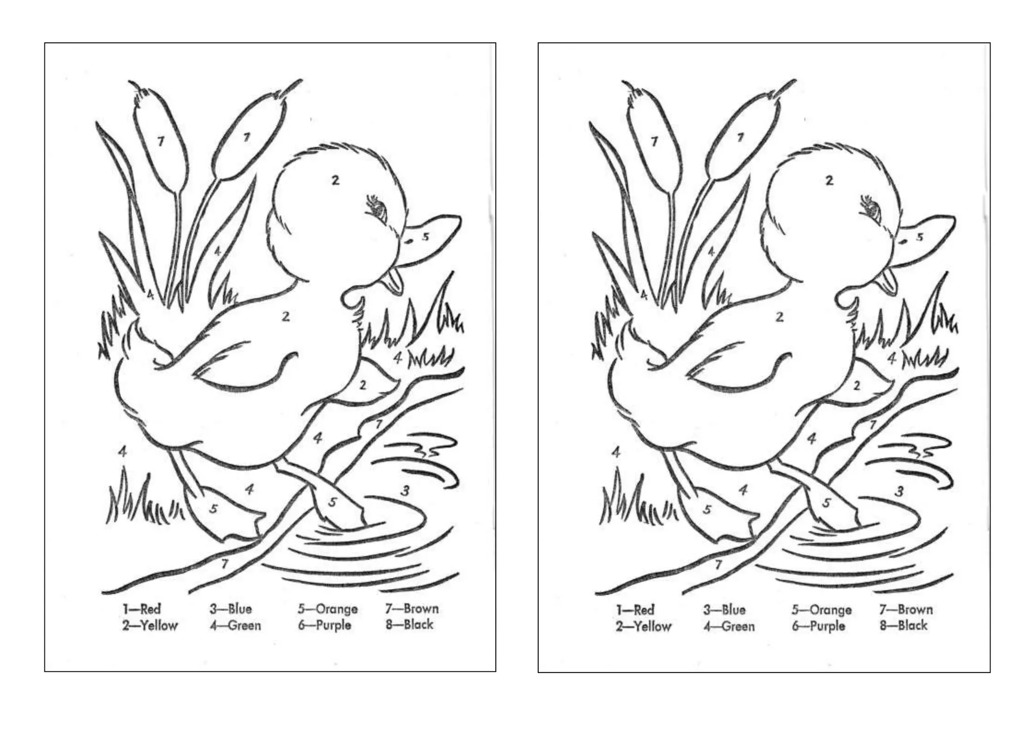 Color by numbers | DOCX