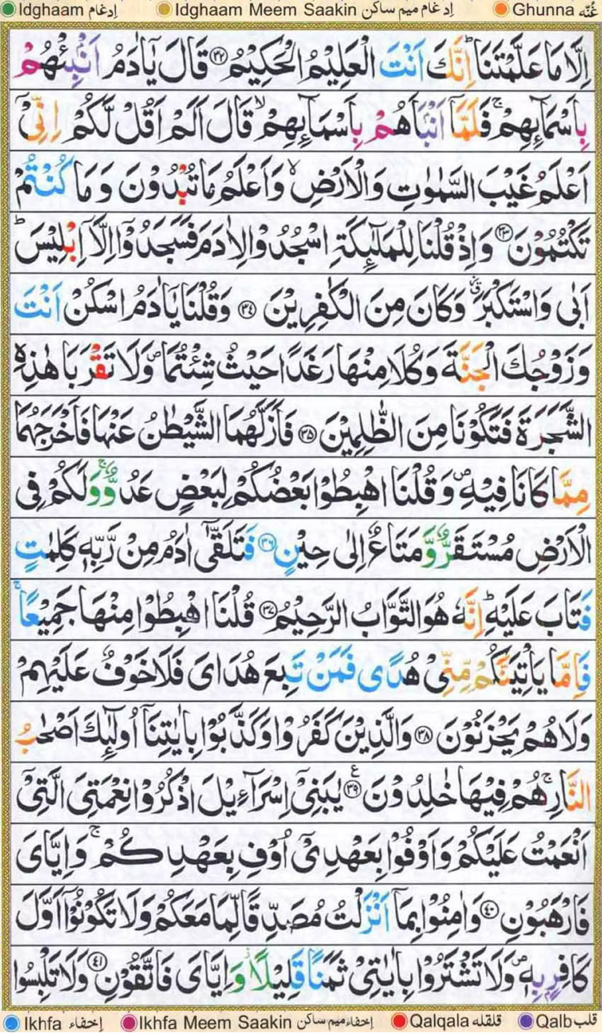 Color coded Qur'an with Tajweed rules in Indo Pak fonts (PDF) | PDF