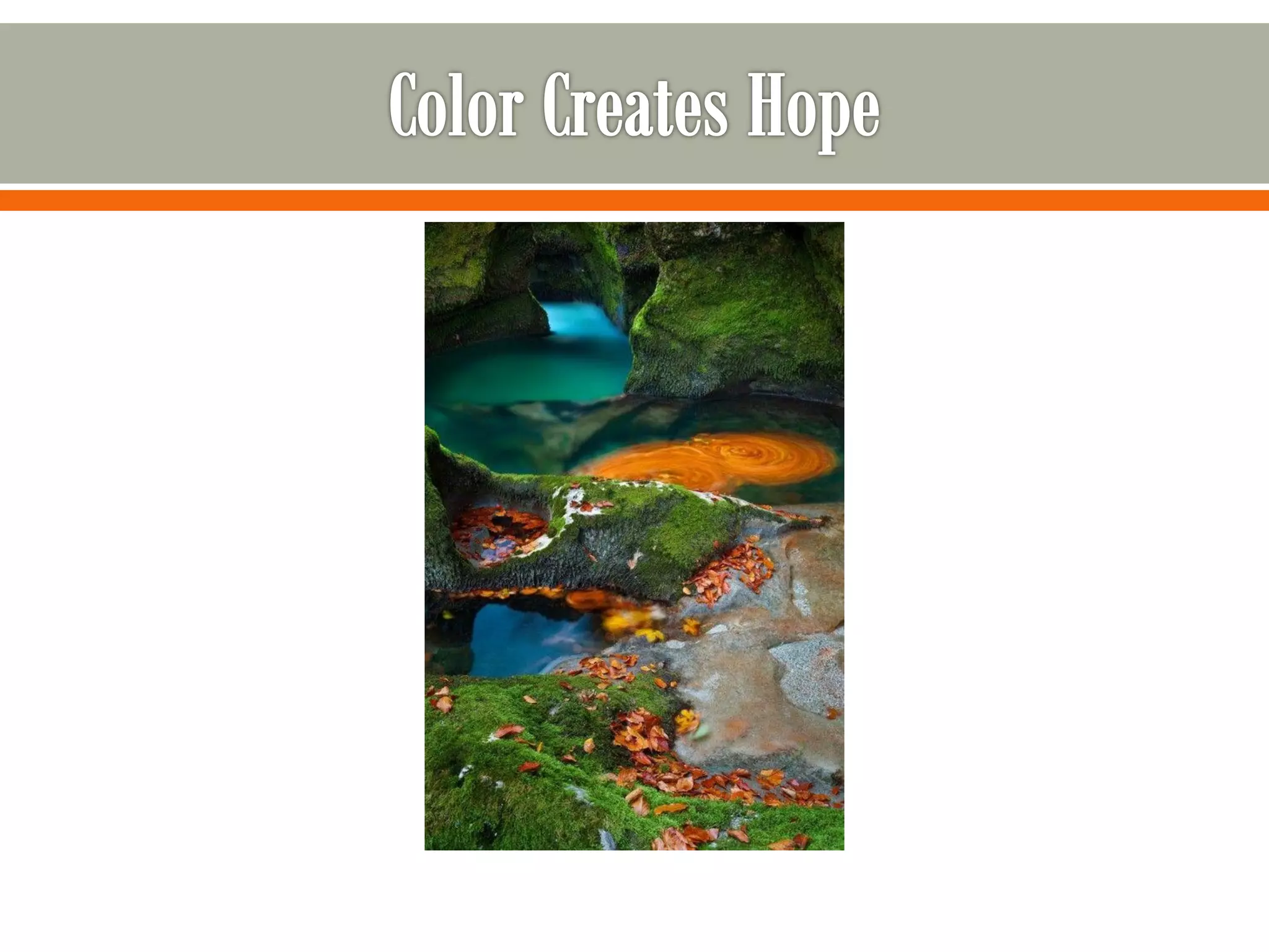 Color creates hope established by ronnie c. wright | PDF