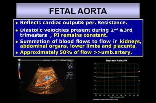 Color doppler in fetal hypoxia | PPTX