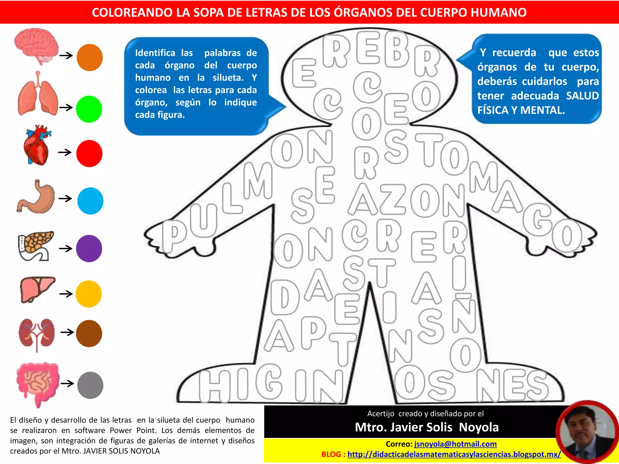 ACERTIJO: “COLOREANDO LA SOPA DE LETRAS DE LOS ÓRGANOS DEL CUERPO ...