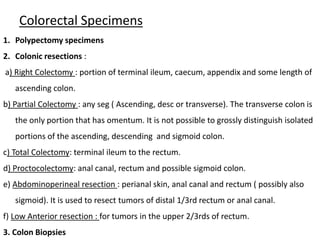 grossing of Colorectal specimens | PPTX