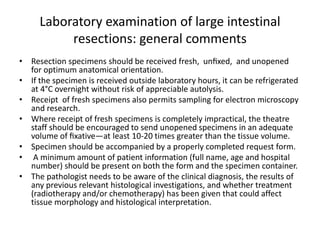 grossing of Colorectal specimens | PPTX