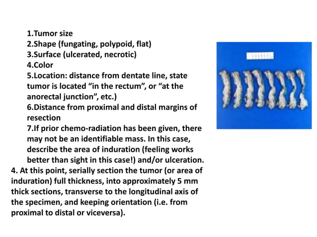 grossing of Colorectal specimens | PPTX