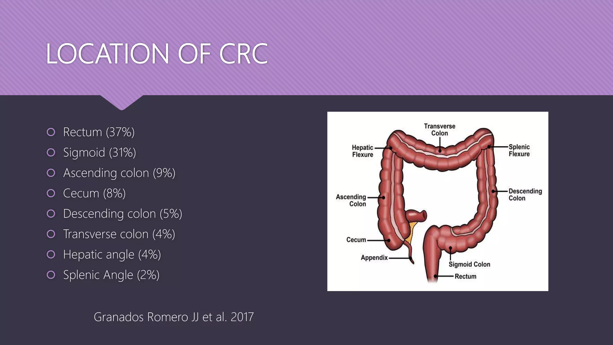Colorectal cancer/ Kanker Kolorektal | PPTX