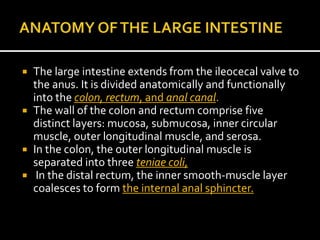 Colorectal cancer | PPT