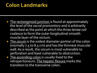 Colorectal cancer | PPT