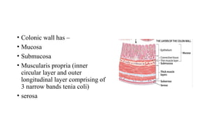 COLORECTAL CANCER power point prese.pptx