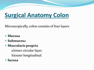 colorectal cancer 18 aug 22 final yr.pptx | Cancer | Diseases and ...