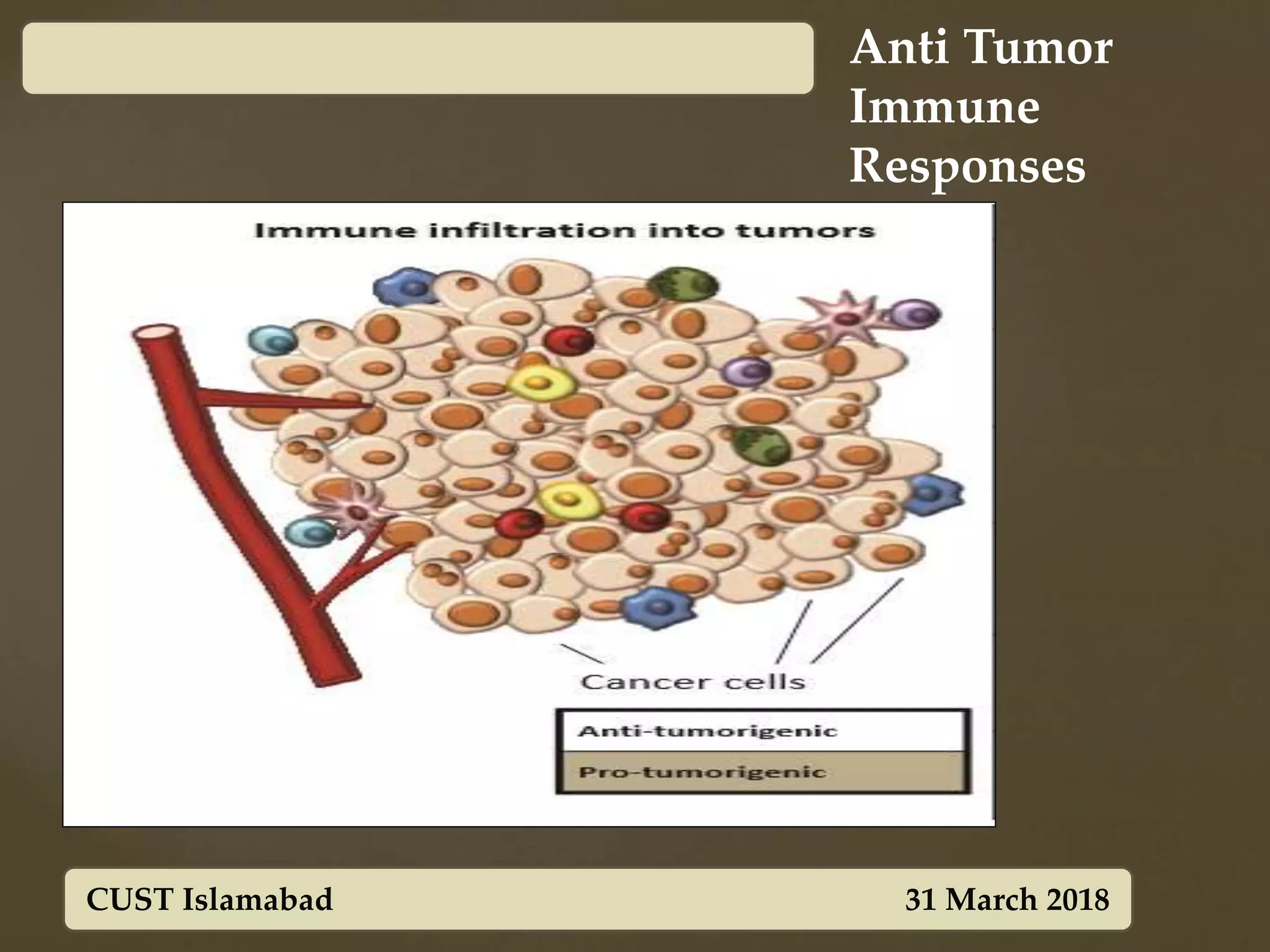 Colorectal cancer and immunity inflammation | PPT