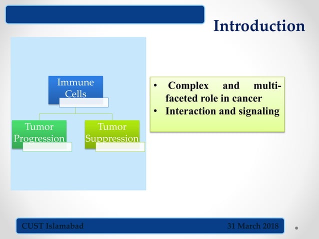 Colorectal cancer and immunity inflammation | PPT