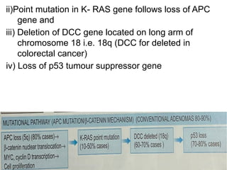 colorectal cancer pathology ppt. 5.pptx