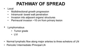 Colorectal carcinoma anatomy to management | PPTX