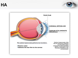 Colored-Eye-Medical-PowerPoint-Templates-Standard (1).pptx