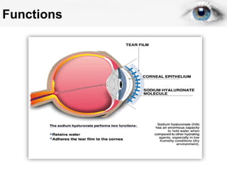 Colored-Eye-Medical-PowerPoint-Templates-Standard (1).pptx