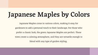 Colored Japanese Maples | PDF