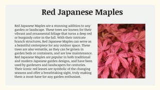 Colored Japanese Maples | PDF