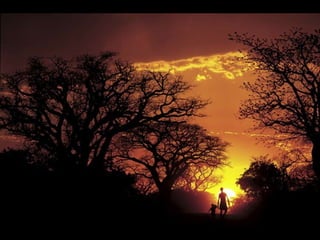 Colores Del Mundo | PPT