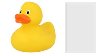 Colores Latin Colors Powerpoint.pptx