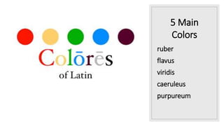 Colores Latin Colors Powerpoint.pptx