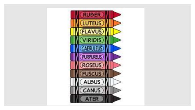 Colores Latin Colors Powerpoint.pptx