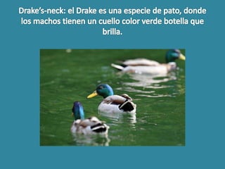 Colores muy raros | PPT