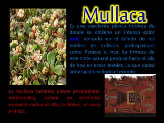 Colores precolombinos | PPTX