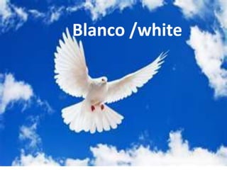 Colores y figuras / colors and shapes | PPT