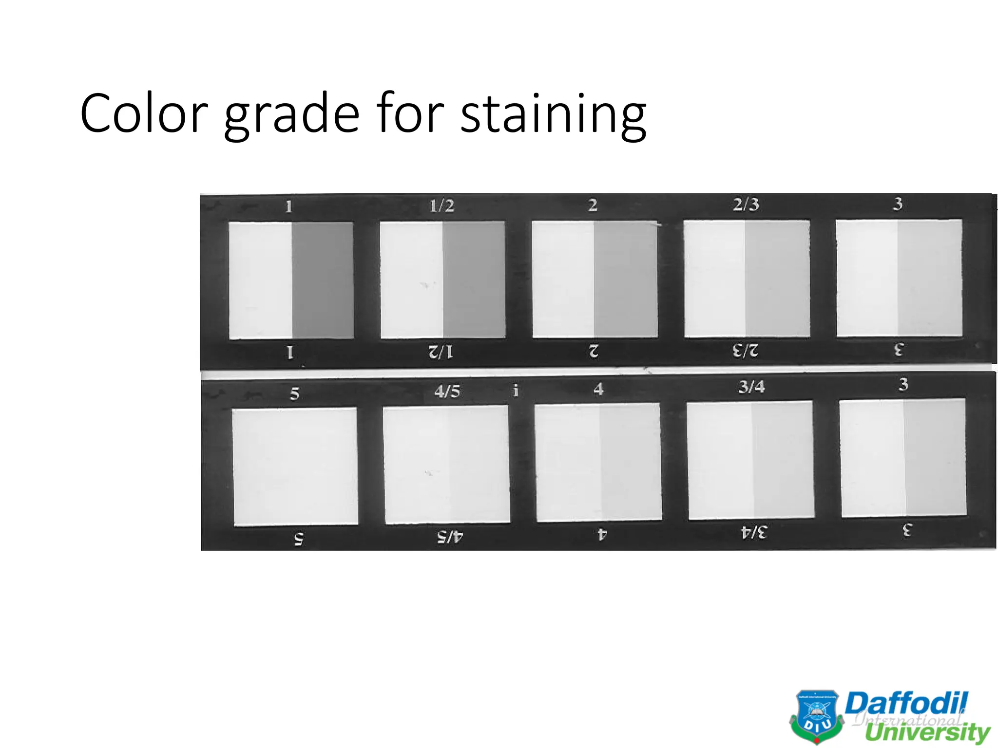 Colorfastness_part 1 (intro-factors).ppt