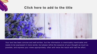 power point ppt COLORFUL study plan.pptx