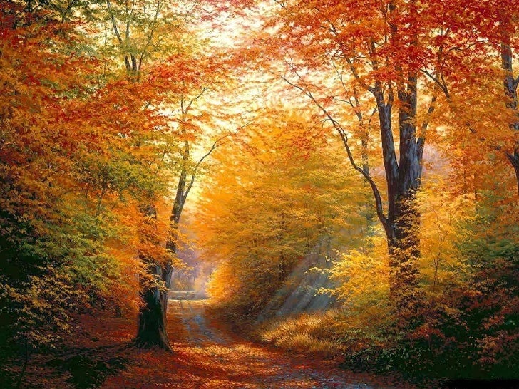 Colorful Fall Landscapes