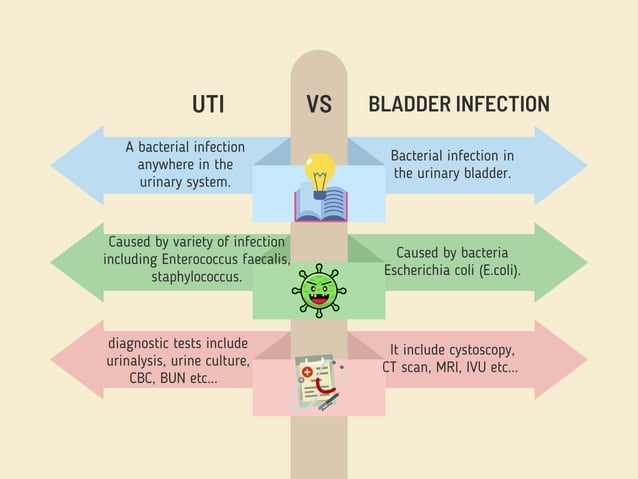 Difference between UTI and bladder infection | PPT