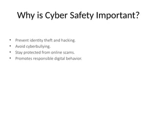 Colorful_Cyber_Safety_Slides_Class10.pptx