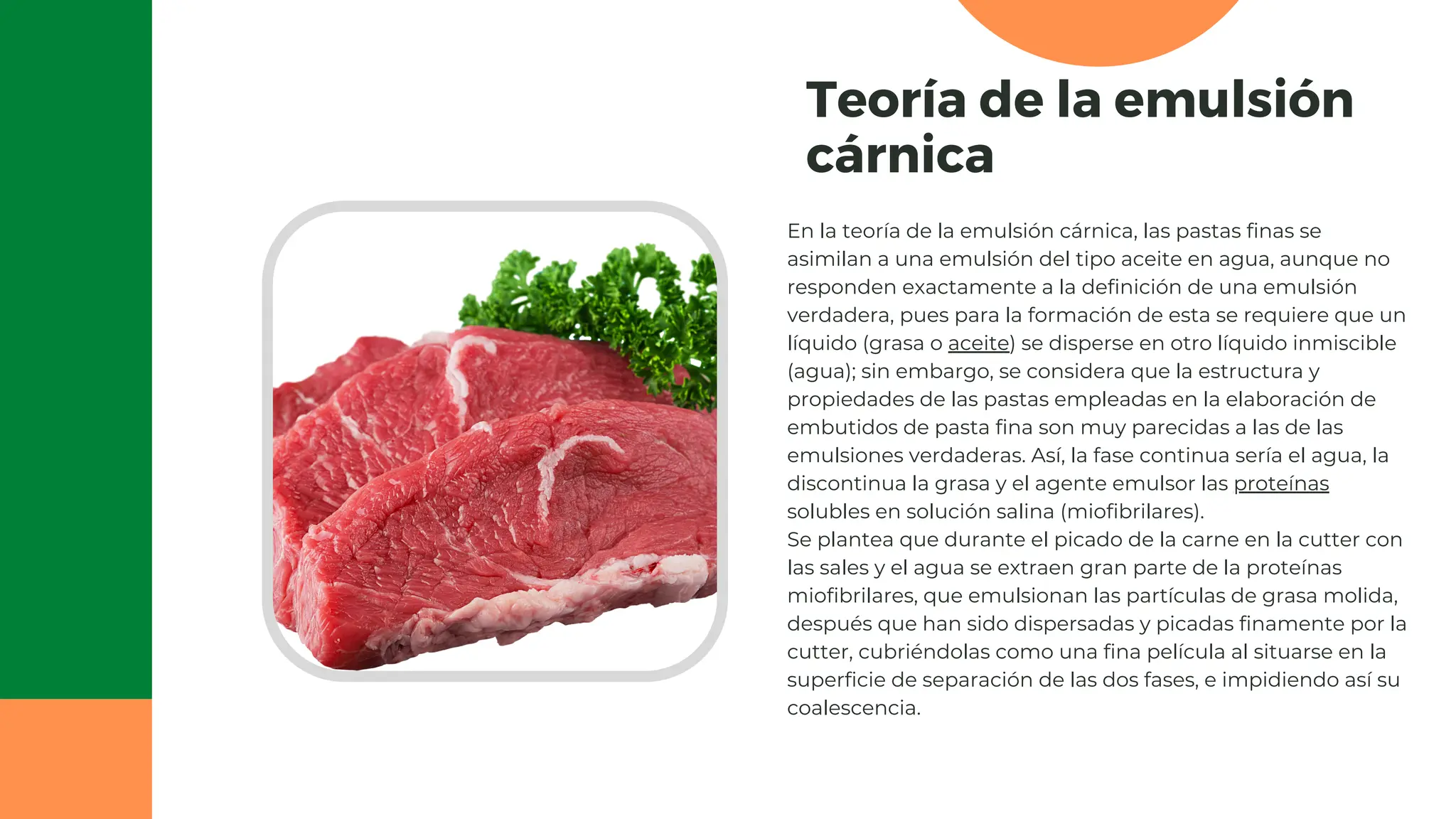 Emulsiones cárnicas o pastas cárnicas | PDF